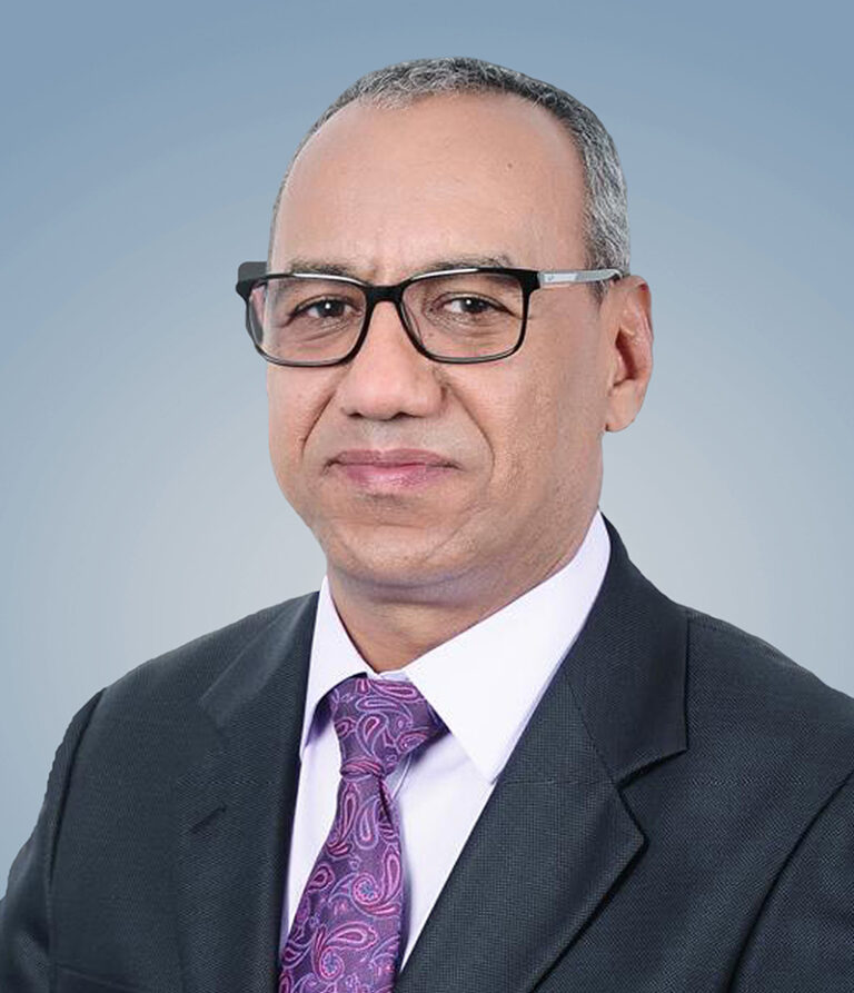 Mohammed Lemine | Litigation Lawyer UAE